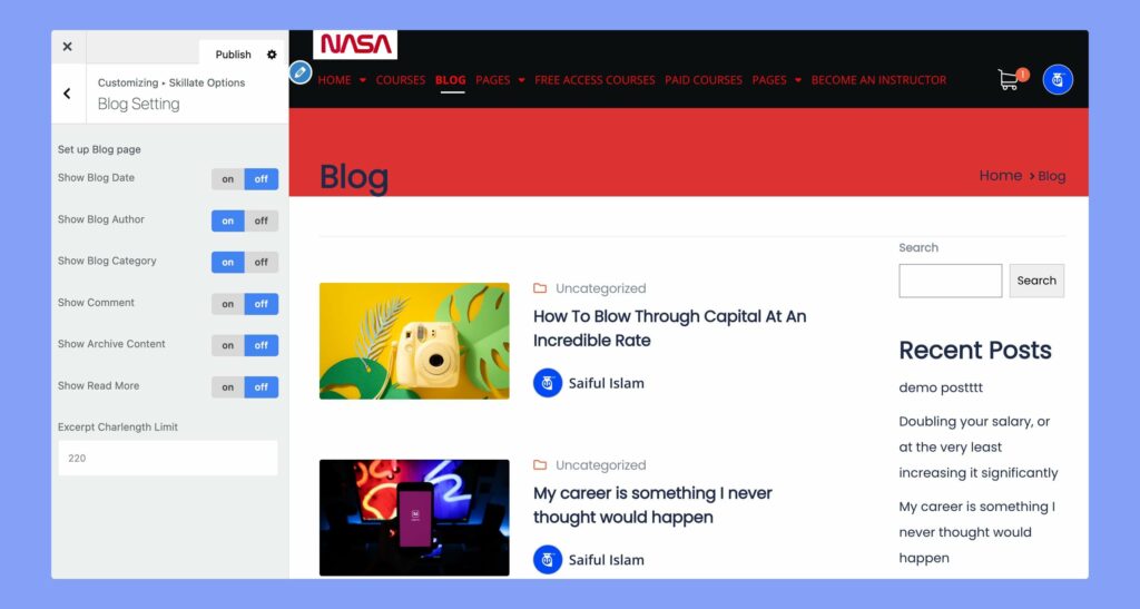 Documention | Customizing Skillate Theme