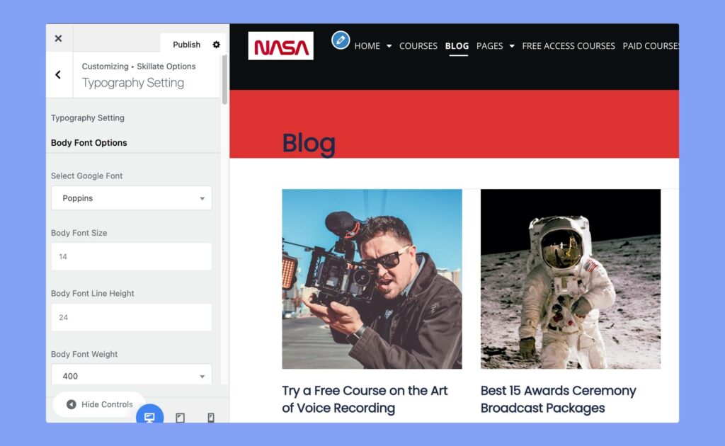 Documention | Customizing Skillate Theme